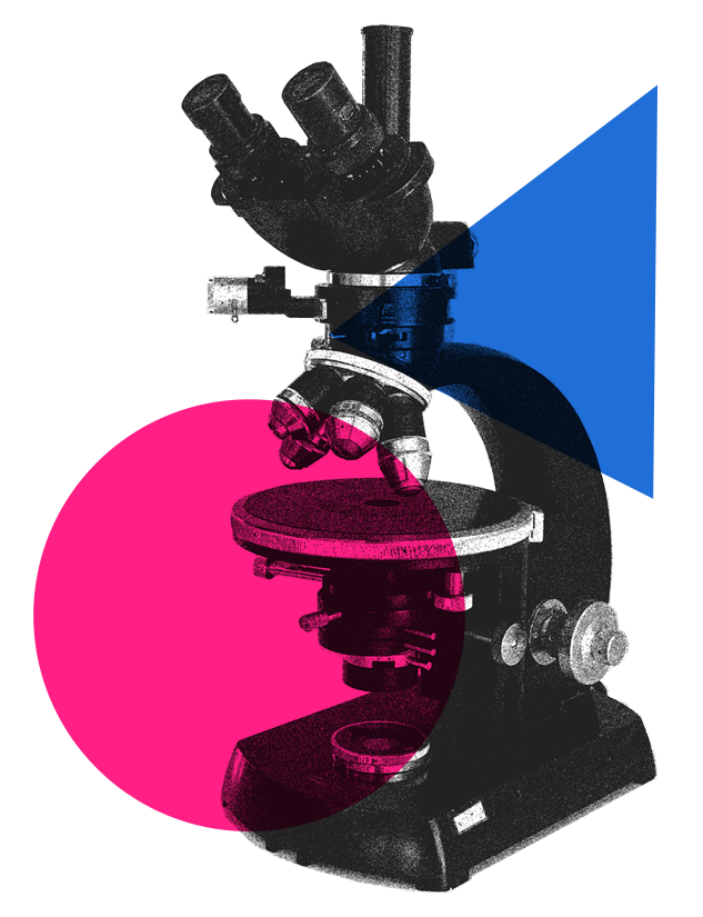 EIRA | Creative Coop